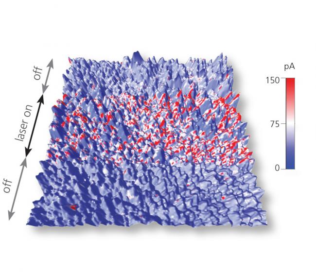 Conductive AFM for Cypher AFMs | Asylum Research